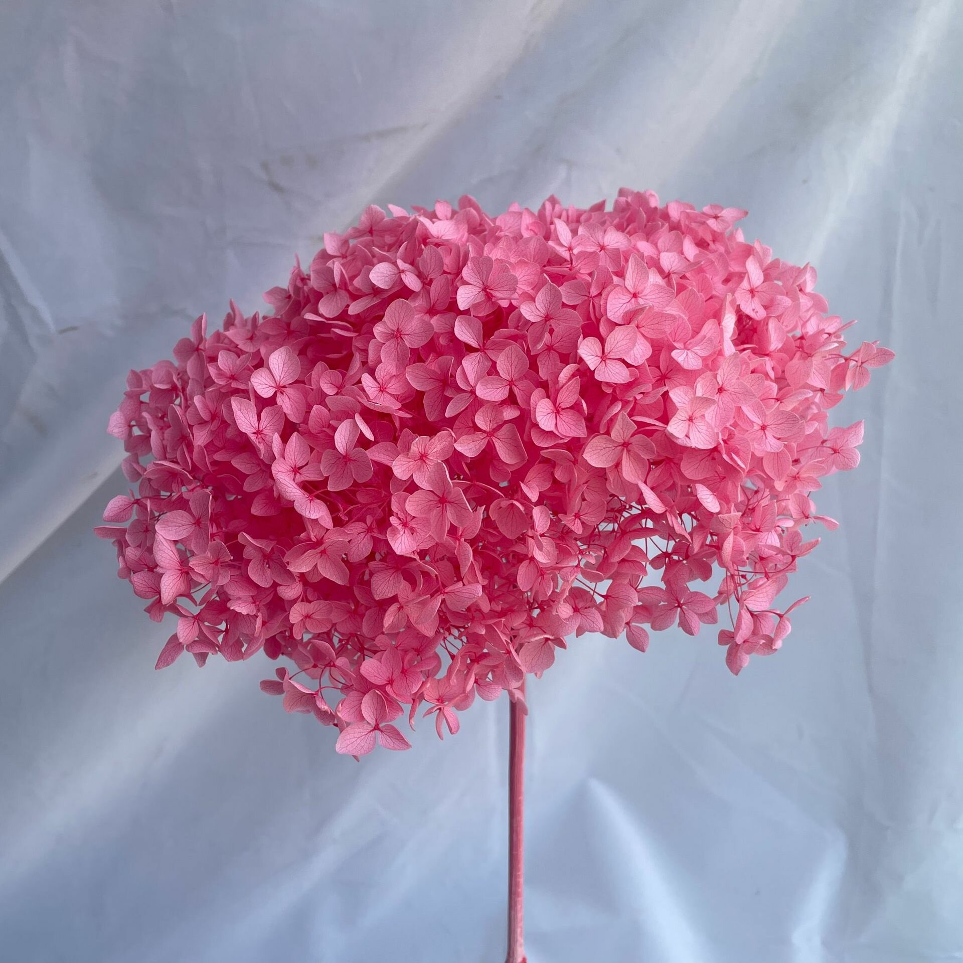 Аранжировщик цветов, одиночная ветка, подарок Анны, гортензия, сушеный цветок, вечная гортензия, домашний декор, цветочная композиция, многоцветная