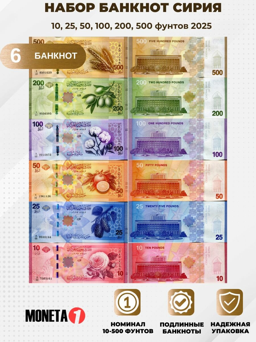 Набор банкнот Сирия 10, 25, 50, 100, 200, 500 фунтов 2025(2026)
