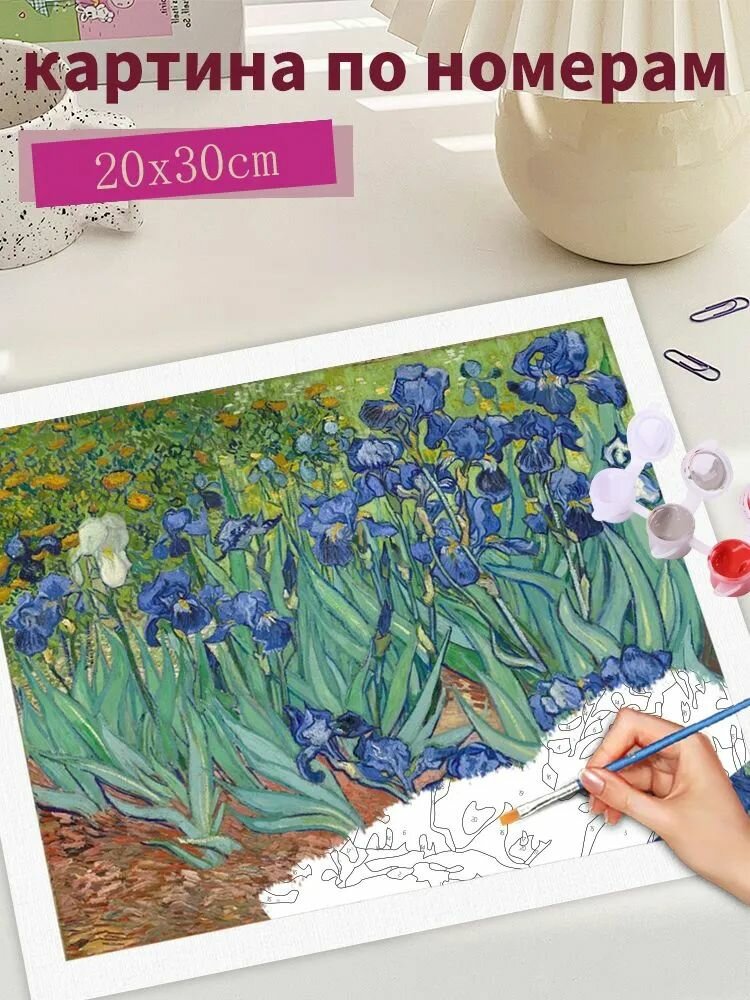 Картина по номерам "Ирис Ван Гога", на холсте Без рамки 20х30, раскраска по номерам
