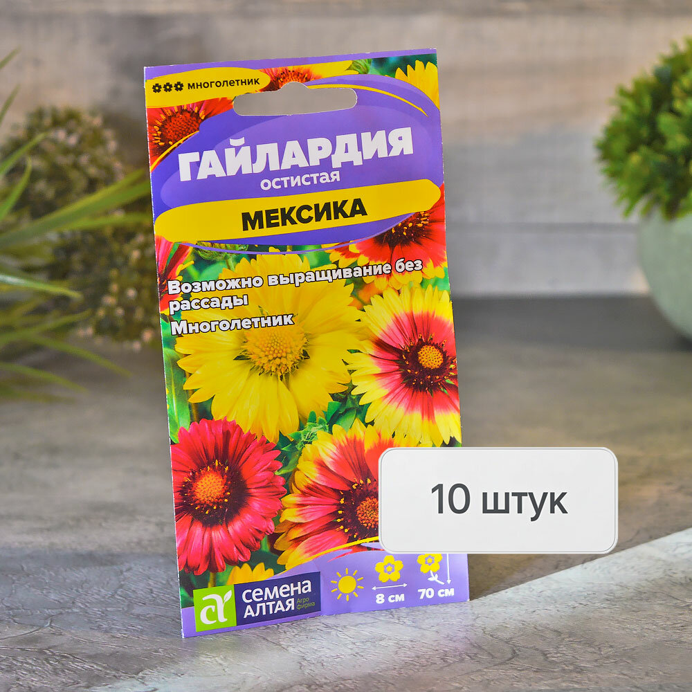 Гайлардия остистая «мексика», набор семян 10 шт, многолетник, высота 70 см
