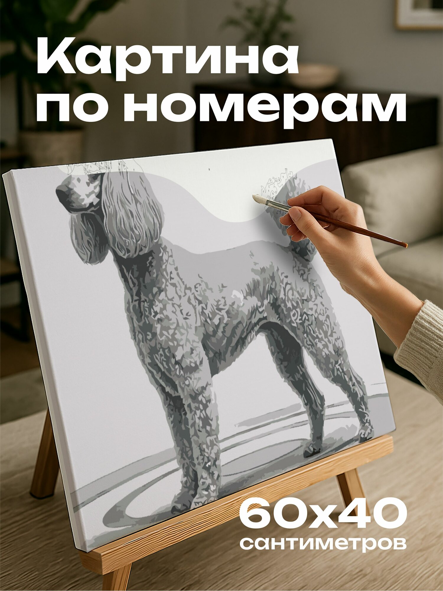Картина по номерам 60x40 см, пудель, графитовый рисунок, реалистичный, выставочная площадка, элегантное телосложение
