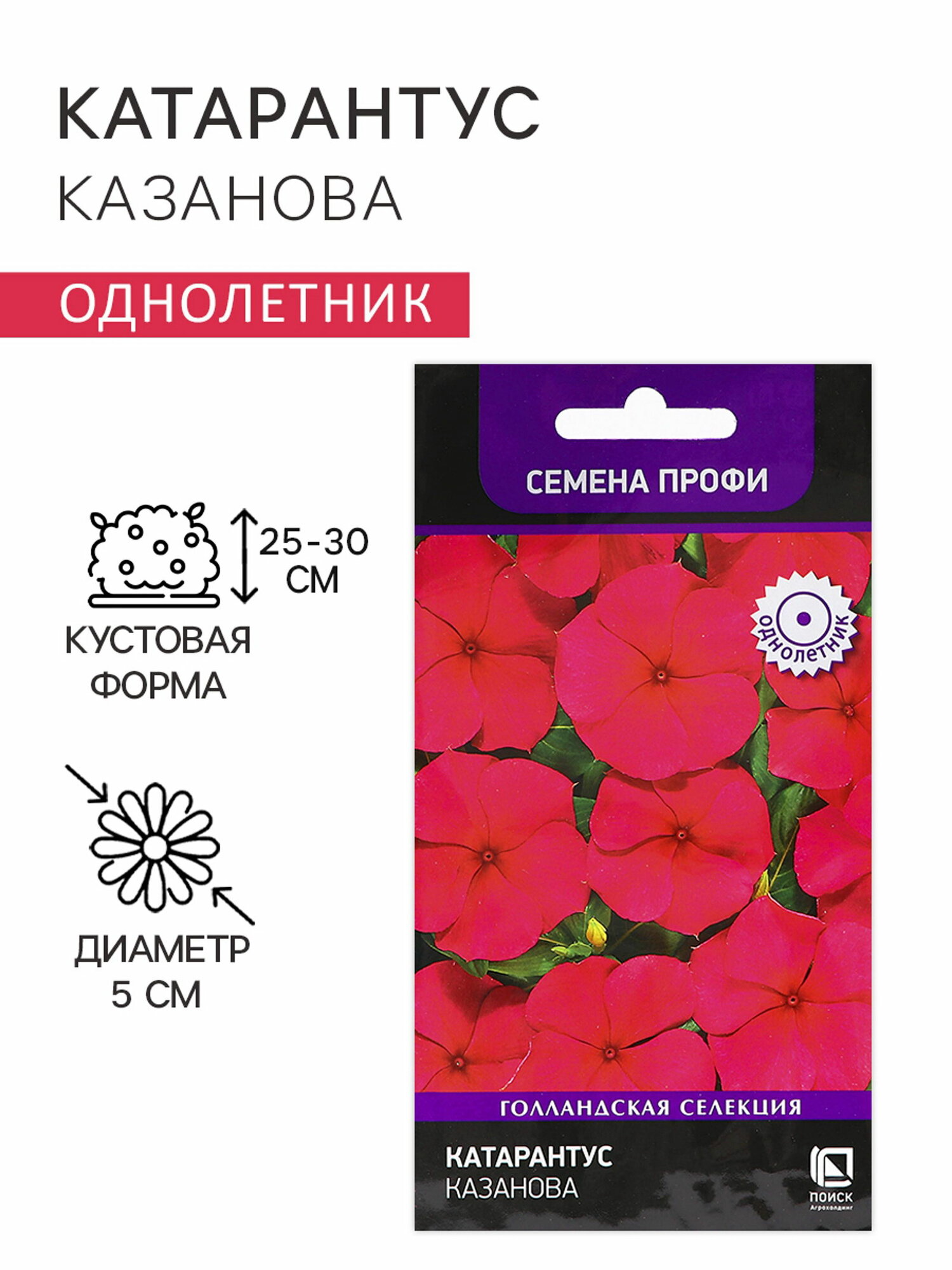 Семена цветов Катарантус "Казанова", 10шт, цветение период: август