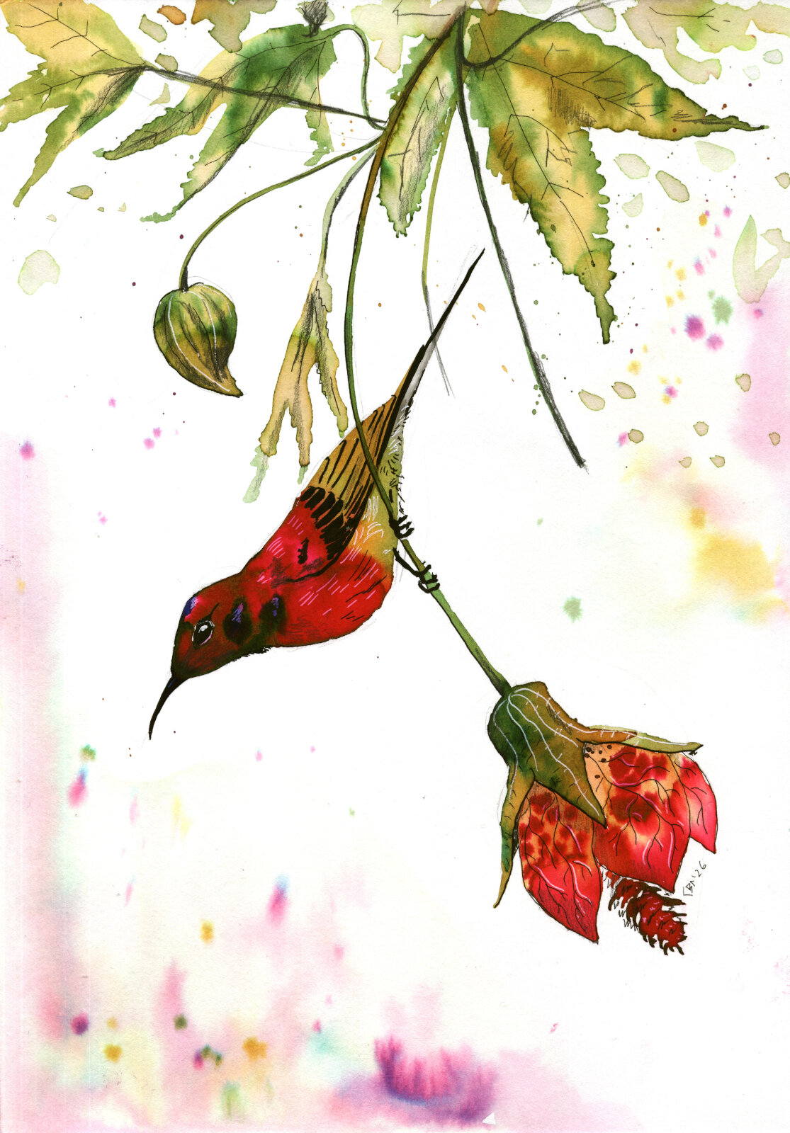 Картина авторская "Чудная нектарница", ручная работа, чернила, бумага, 21х30 см