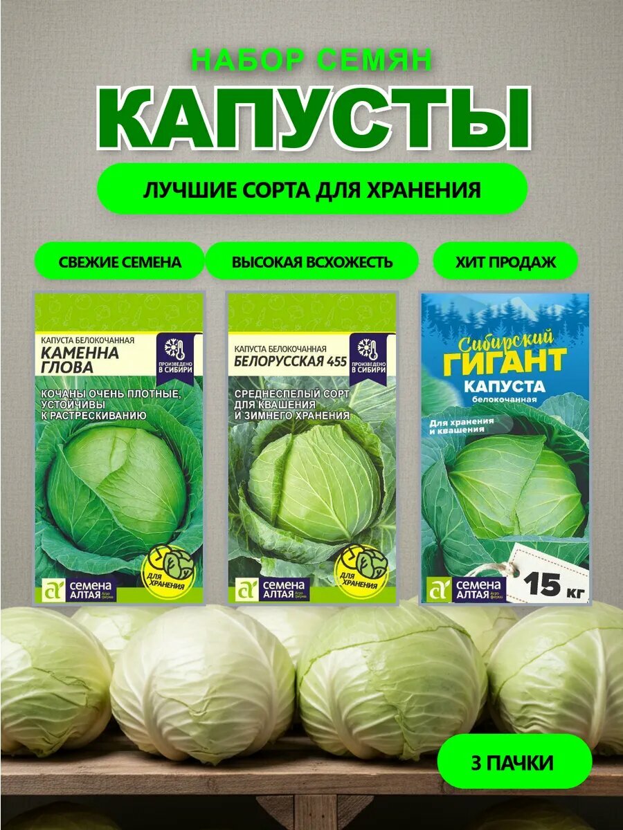 Набор семян капусты сорта для хранения, от Семена Алтая, 3 сорта