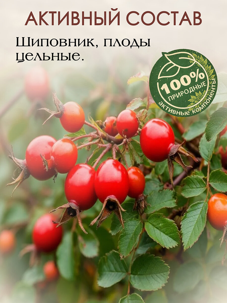 Шиповник сушеный (плоды ) 200 гр. ручной сбор от Данилы Травника — фото 1
