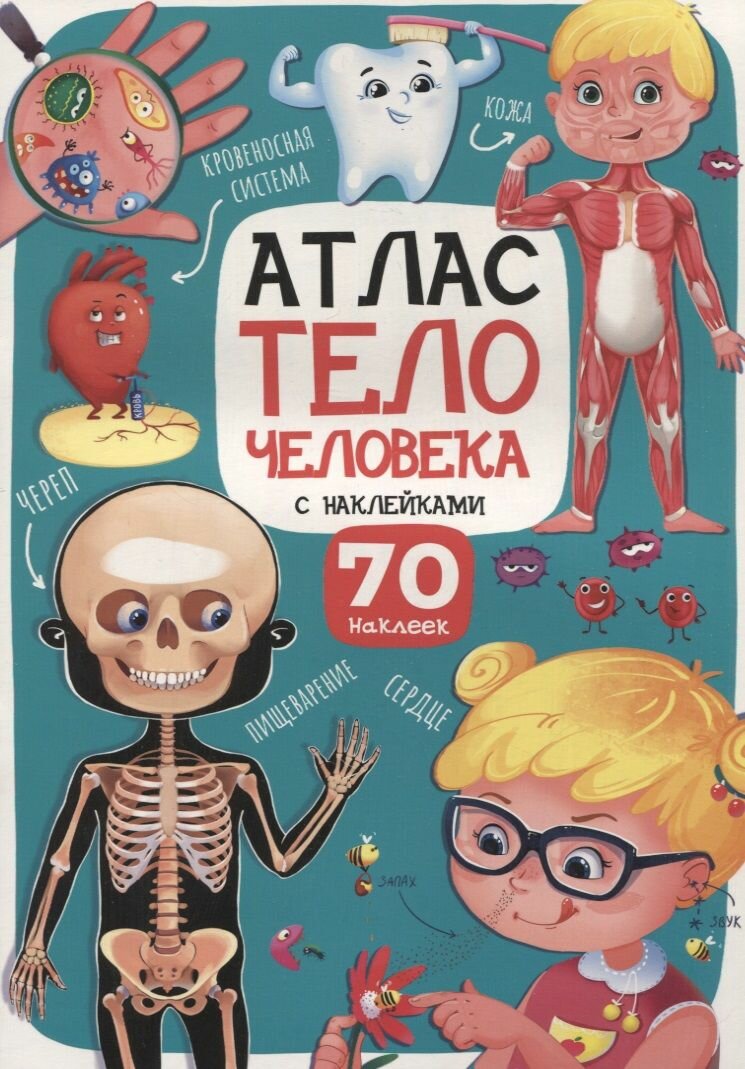 Атлас "Тело человека" с наклейками