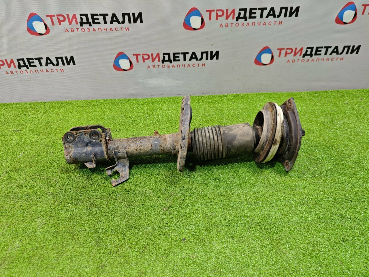 Амортизатор подвески Nissan Note 1.6 HR16 2006 перед. прав. (б/у)