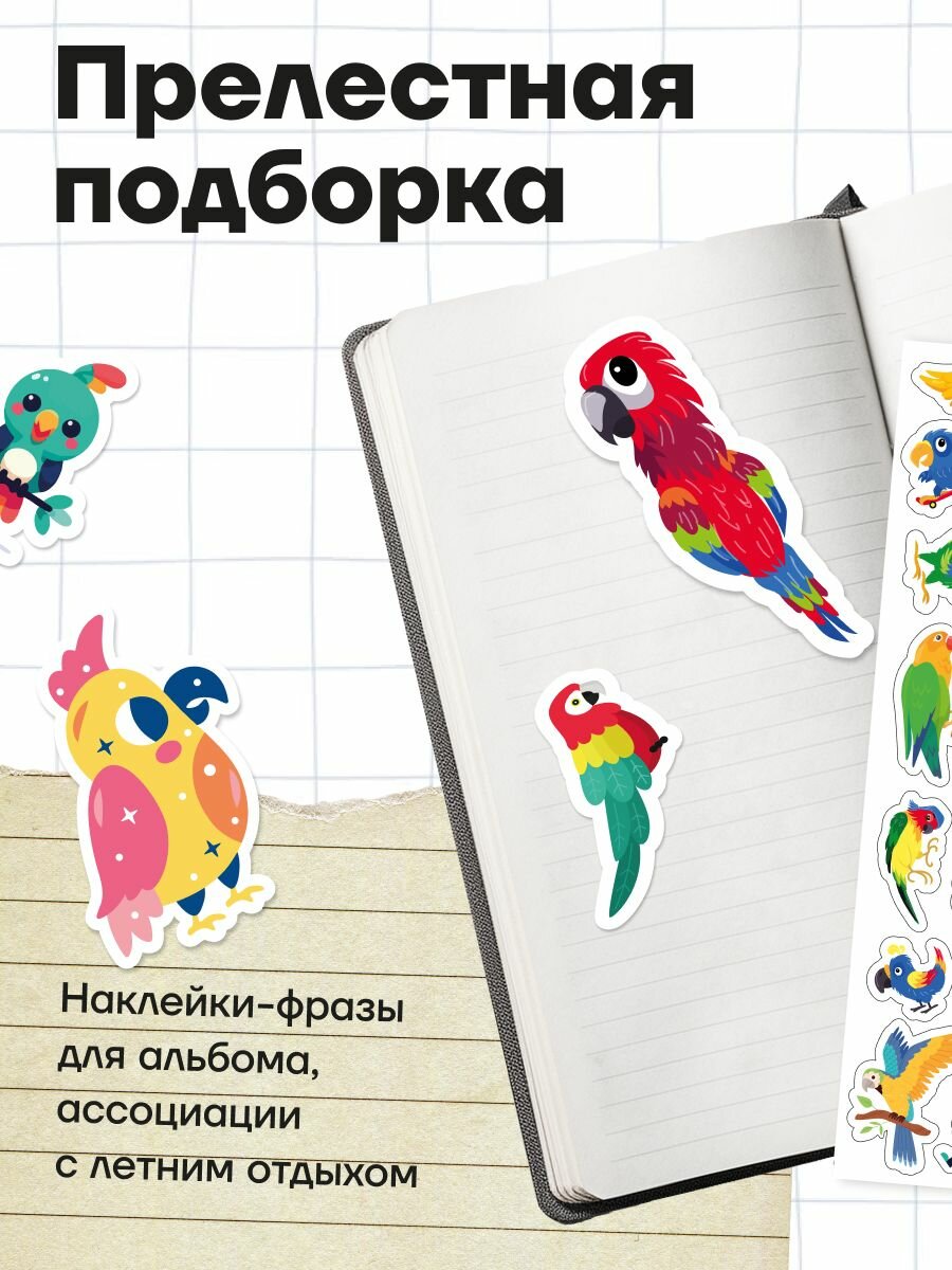 Наклейки попугаи, виниловые, для творчества, детские, 75 штук — фото 1