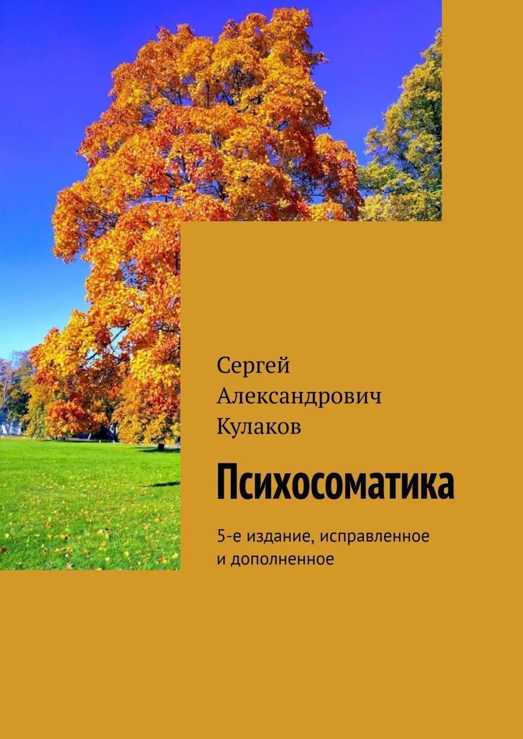 Психосоматика. 5-е издание, дополненное [Цифровая книга]
