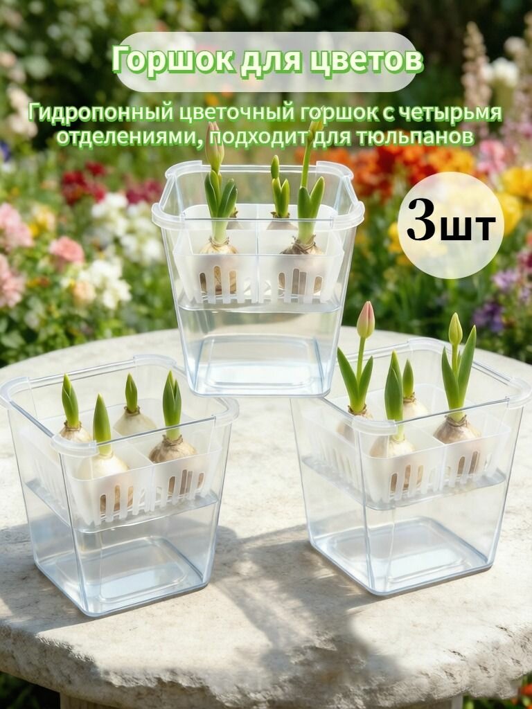 Гидропонный цветочный горшок с четырьмя отделениями, подходит для тюльпанов, 3 шт