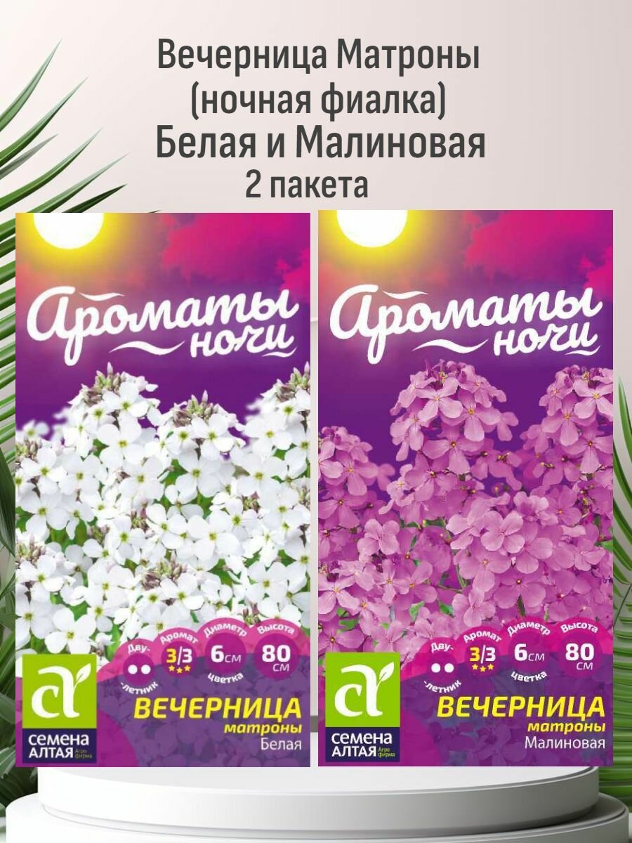 Вечерница Матроны Белая и Малиновая 2 пакета