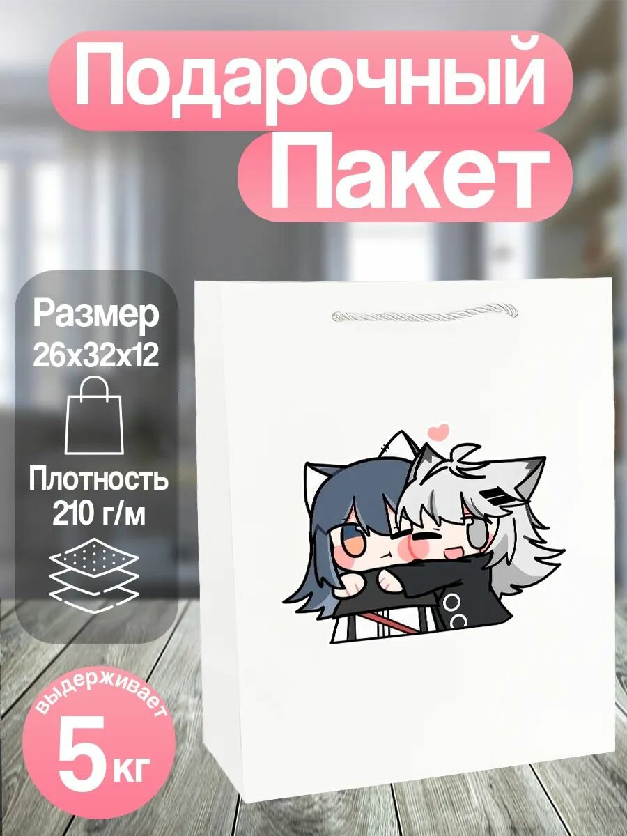 Пакет подарочный Arknights Endfield, упаковка для подарка, 26х31 см