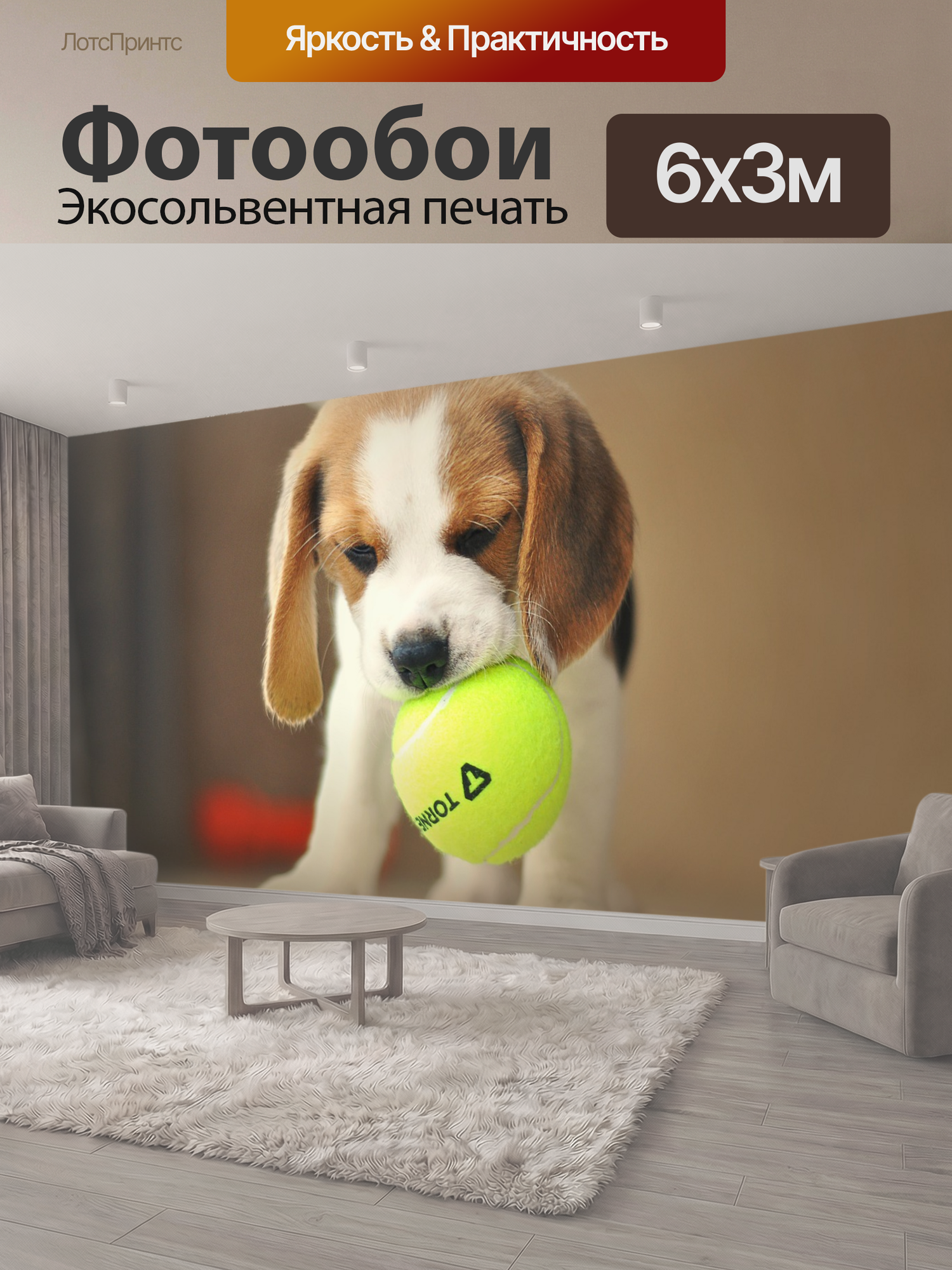 Фотообои "Щенок, собака, бигль" 600x300 см. экосольвентная печать