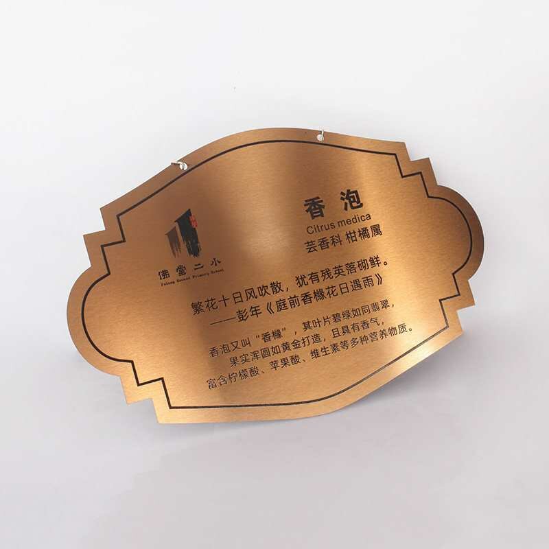 Бирки для деревьев из нержавеющей стали, идентификационные таблички для деревьев на открытом воздухе, бирки для приюта деревьев, таблички для растений в садах и на фермах.