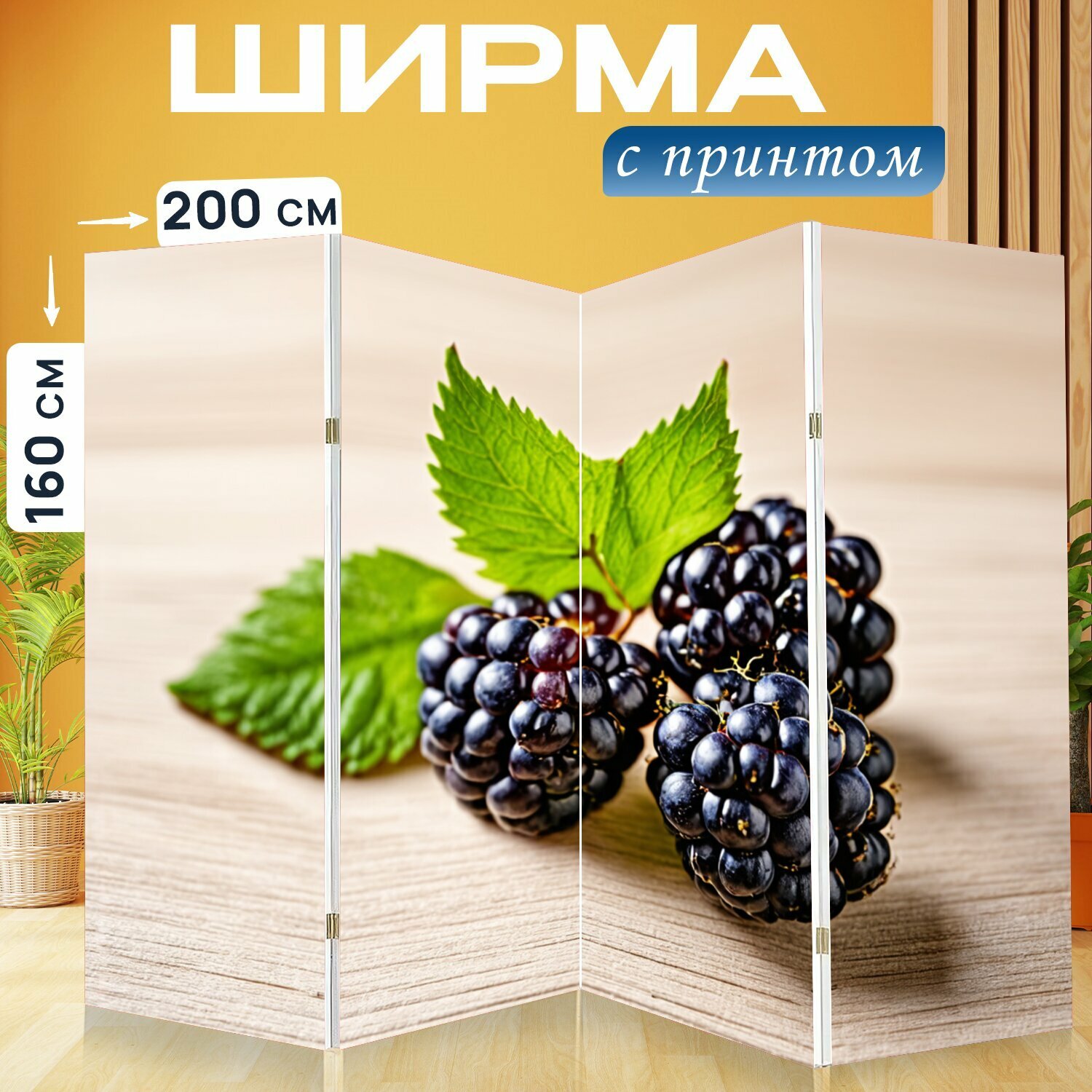 Ширма "Белые ежевики с зелеными листьями на деревянной поверхности, realistic, photography style, detailed." перегородка для зонирования комнаты с принтом 200x160 см. на холсте