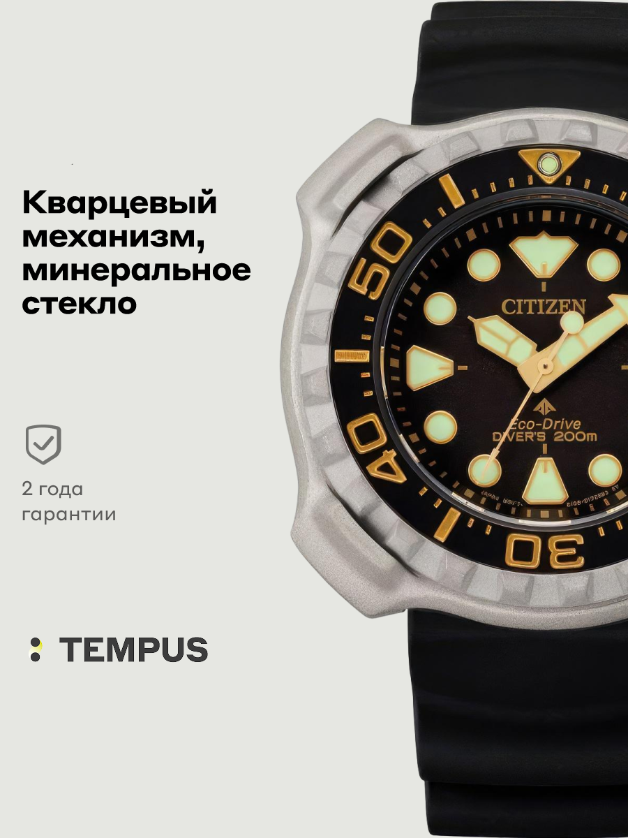 Наручные часы Promaster