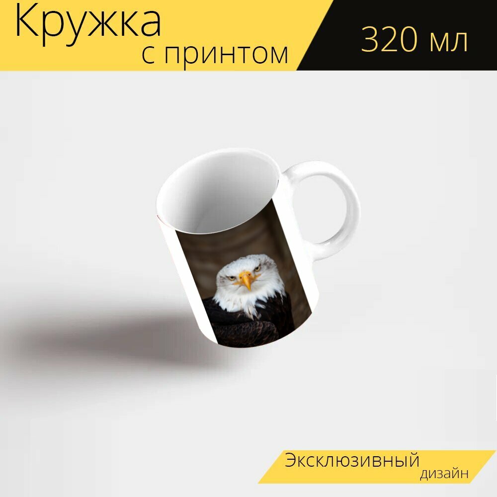 Кружка с рисунком, принтом "Белоголовый орлан, орел, птица" 320 мл.