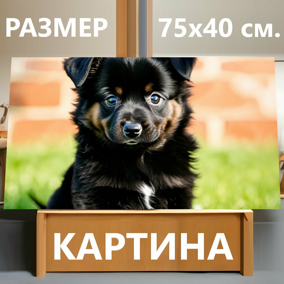 Картина на холсте "Черный шпиц puppy, маленький, пушистый, с большими глазами, уши стоят, на зеленой траве, размытый фон, кирпичная стена, солнечный свет" на подрамнике 75х40 см. для интерьера