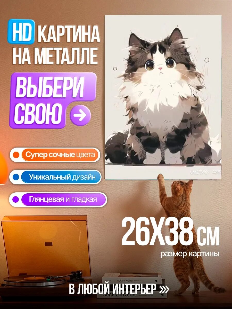 Картина на HD металле Пушистый кот
