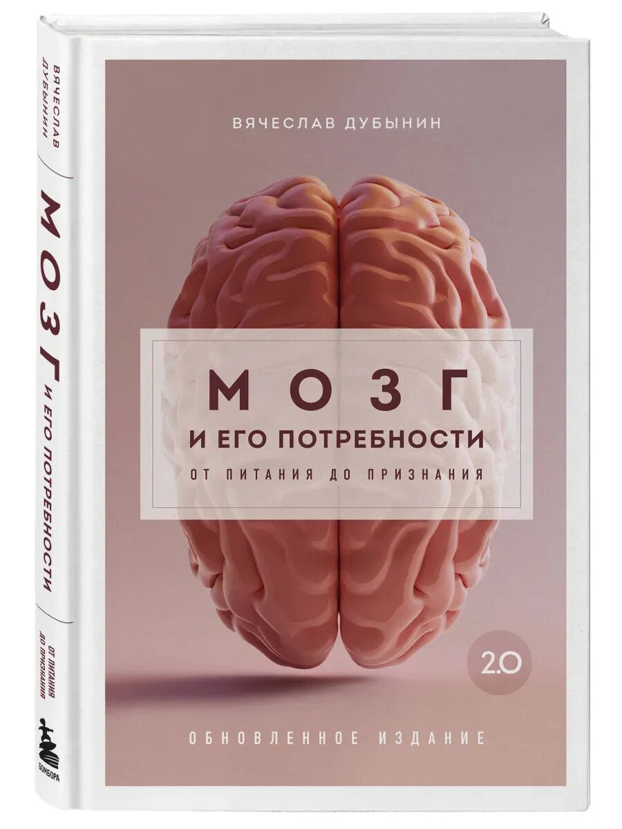 Мозг и его потребности 2.0. От питания до признания