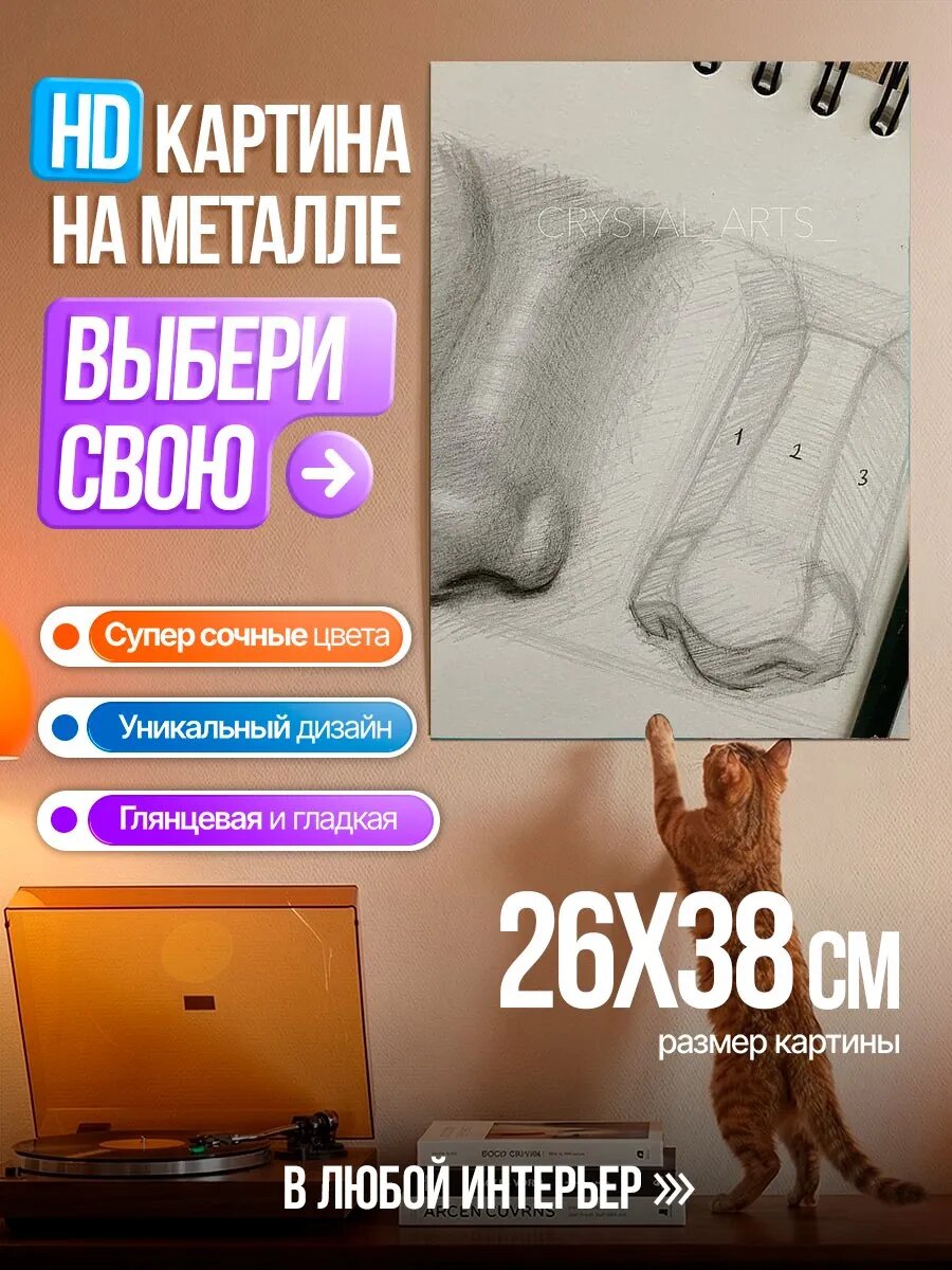 Картина на HD металле Урок рисования носа