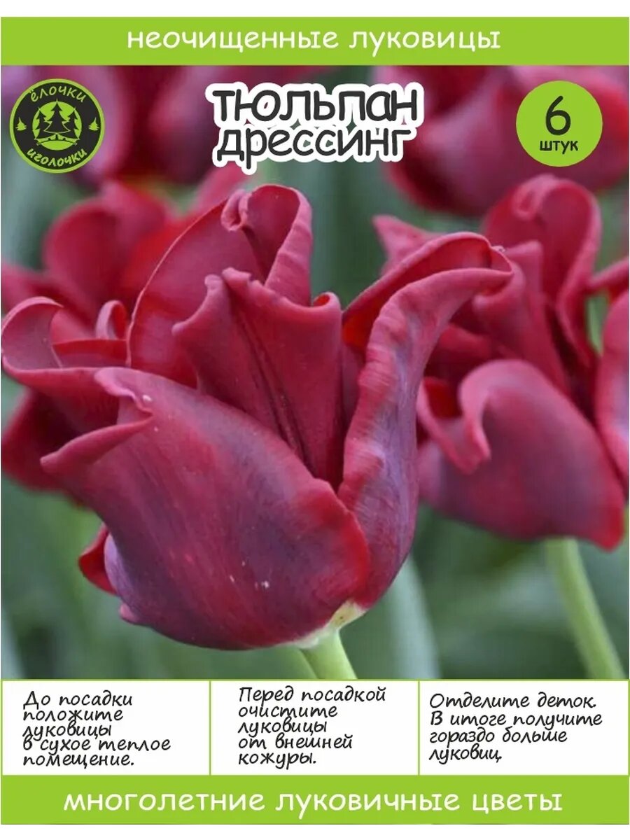 Тюльпан Луковица, Дрессинг, 6+шт