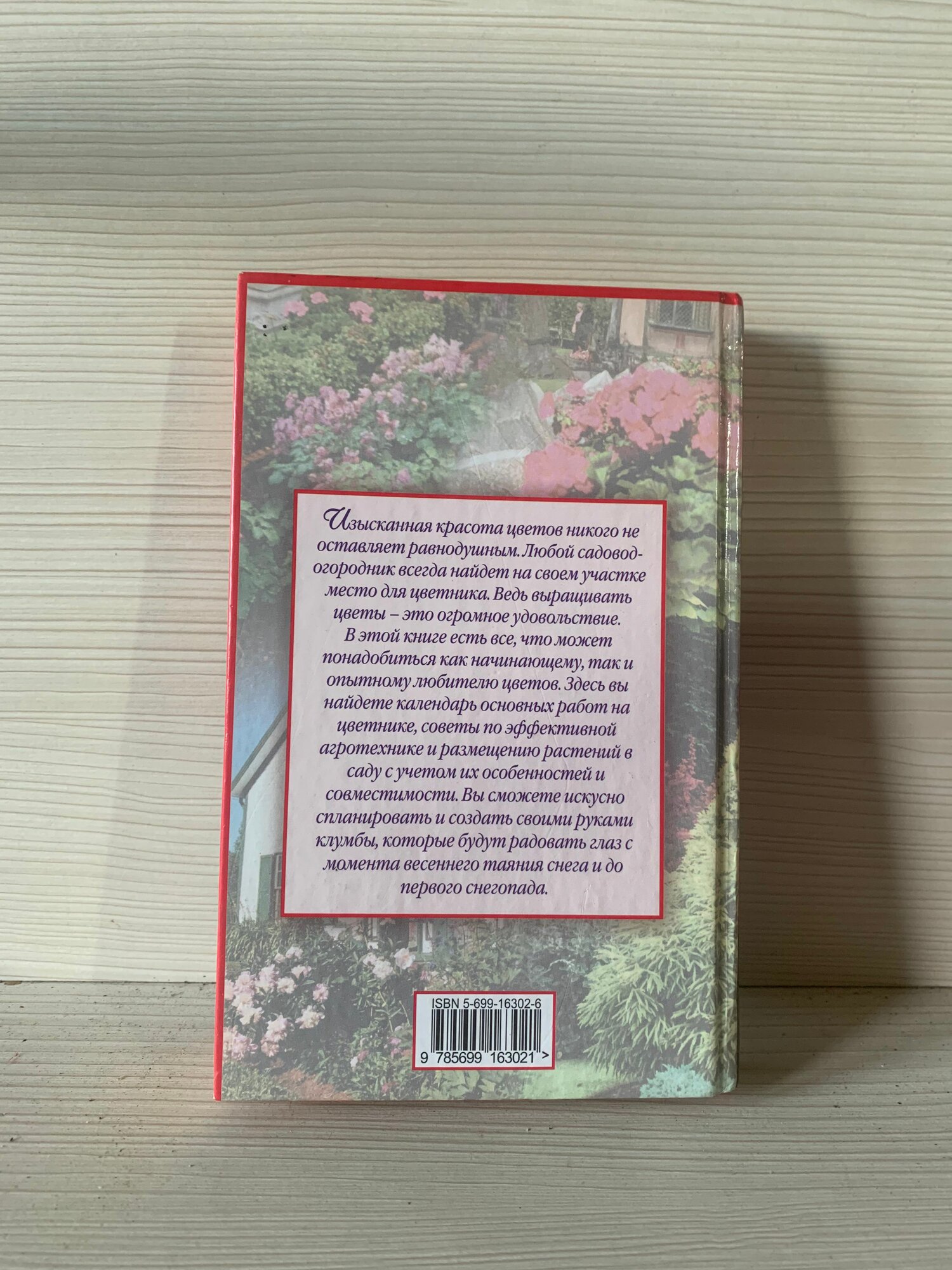 Цветы у вашего дома — фото 1