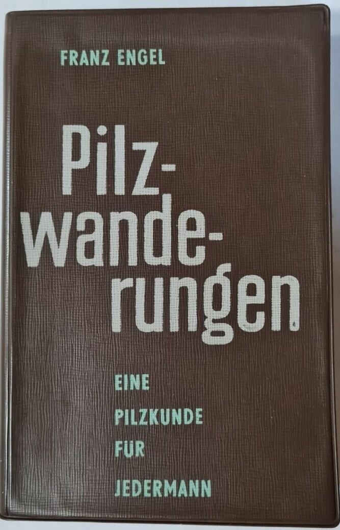 Pilzwanderungen