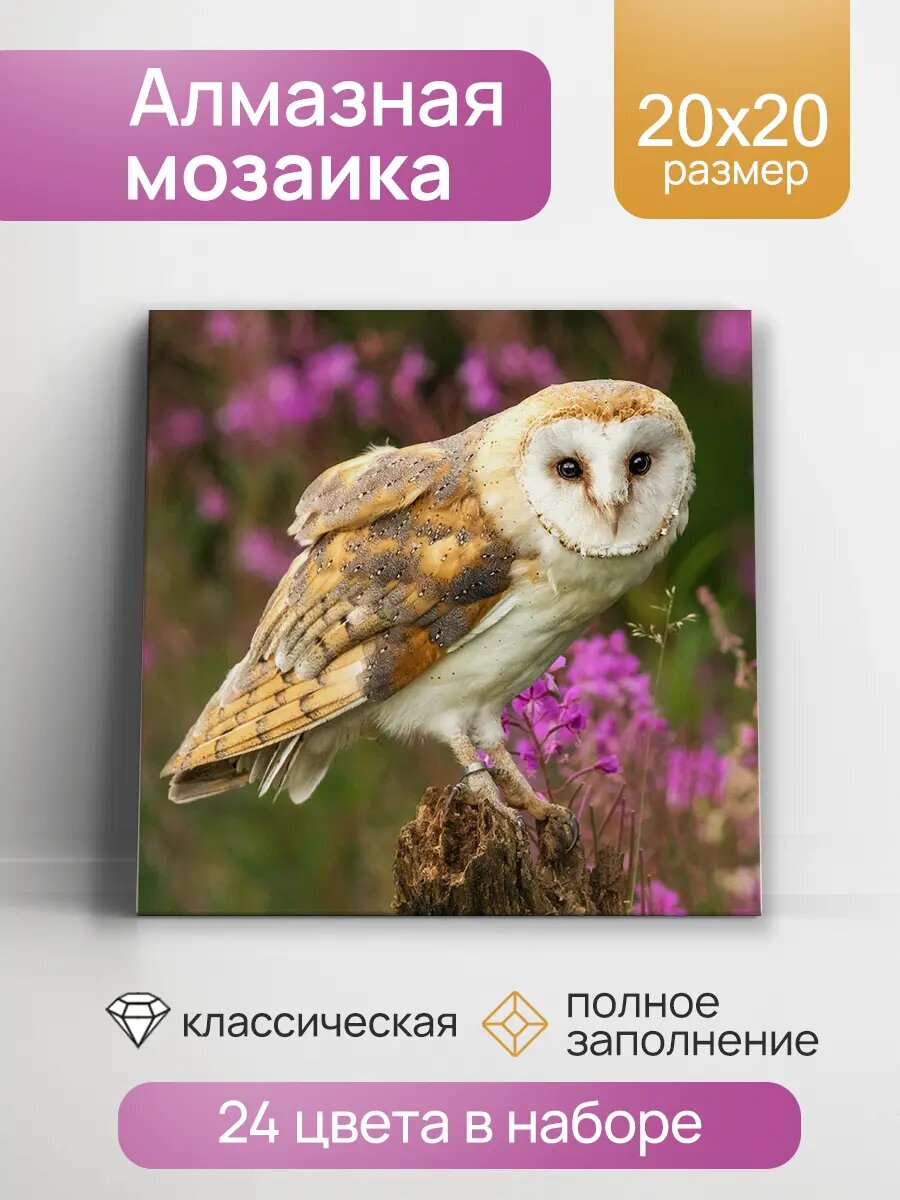 Алмазная мозаика 20x20 (классическая) с подрамником, с полным заполнением (24 цвета) Сова-сипуха в поле (Арт. НД-0948)