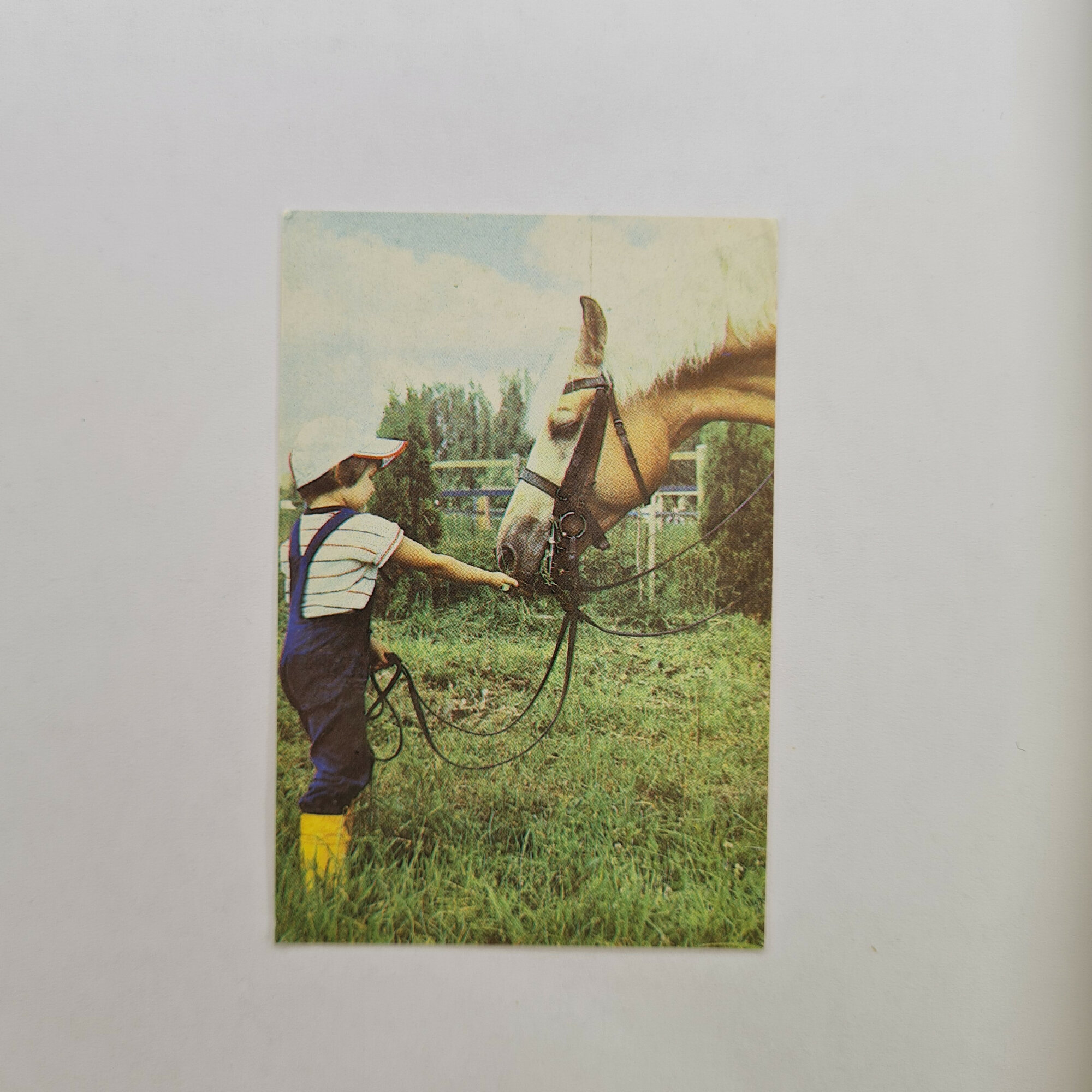 Карманный календарик СССР 1989. Ребенок и лошадь, детство, спорт. Советский календарь
