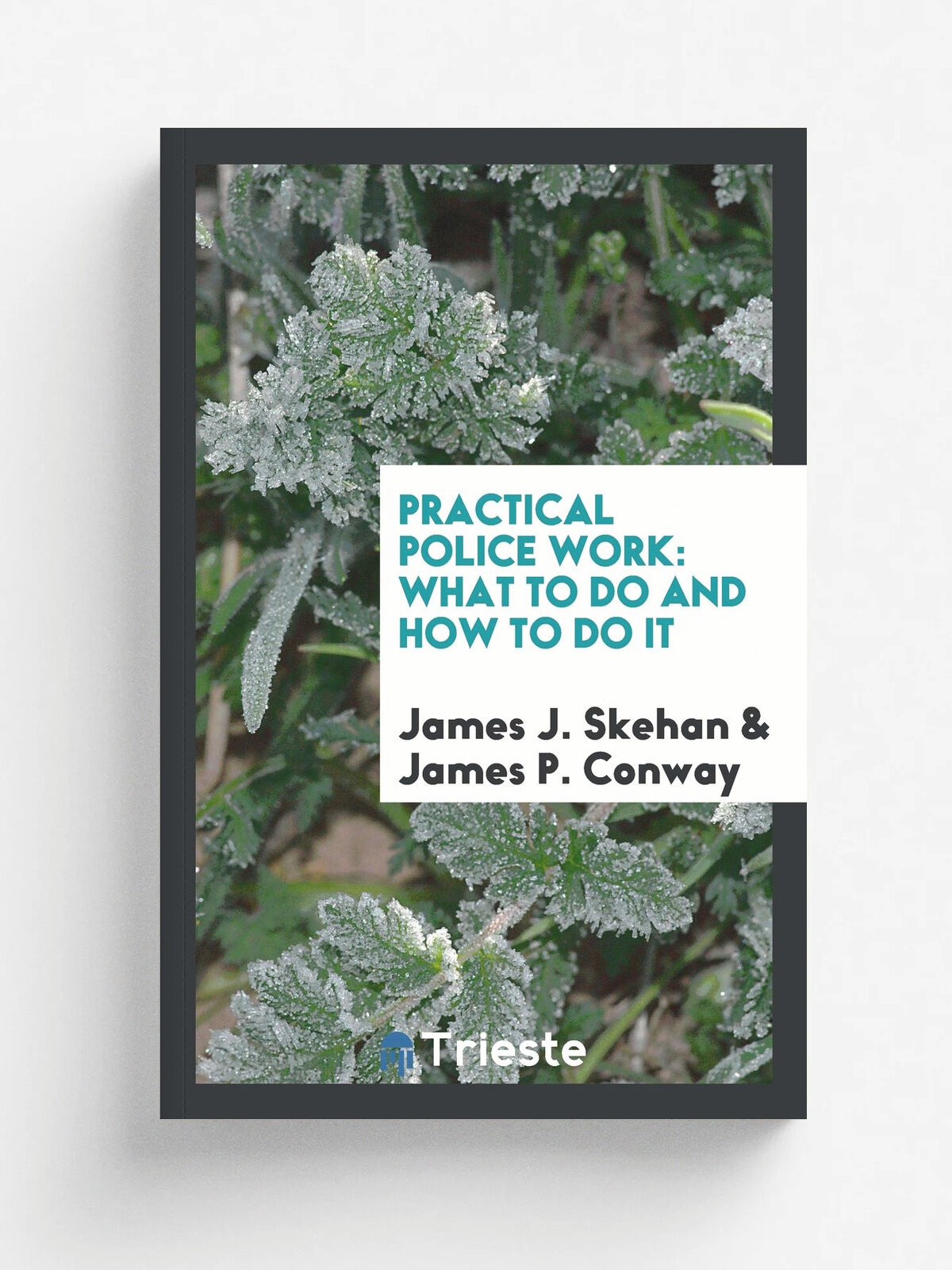 Practical police work. what to do and how to do it