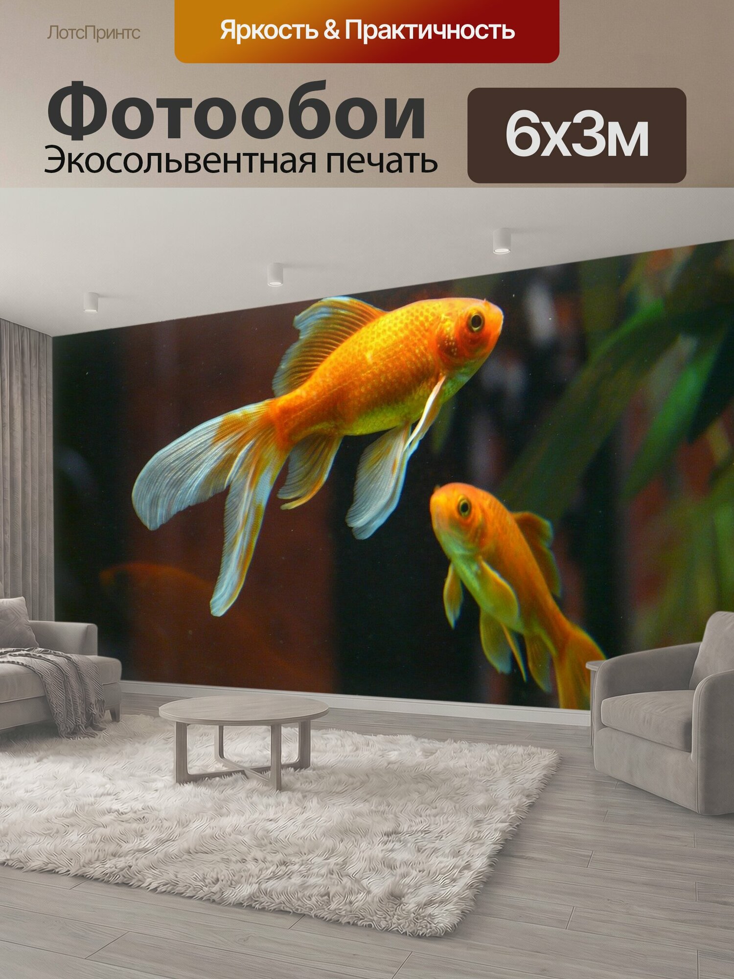 Фотообои "Вуаль хвоста, рыбы, золотая рыбка" 600x300 см. экосольвентная печать