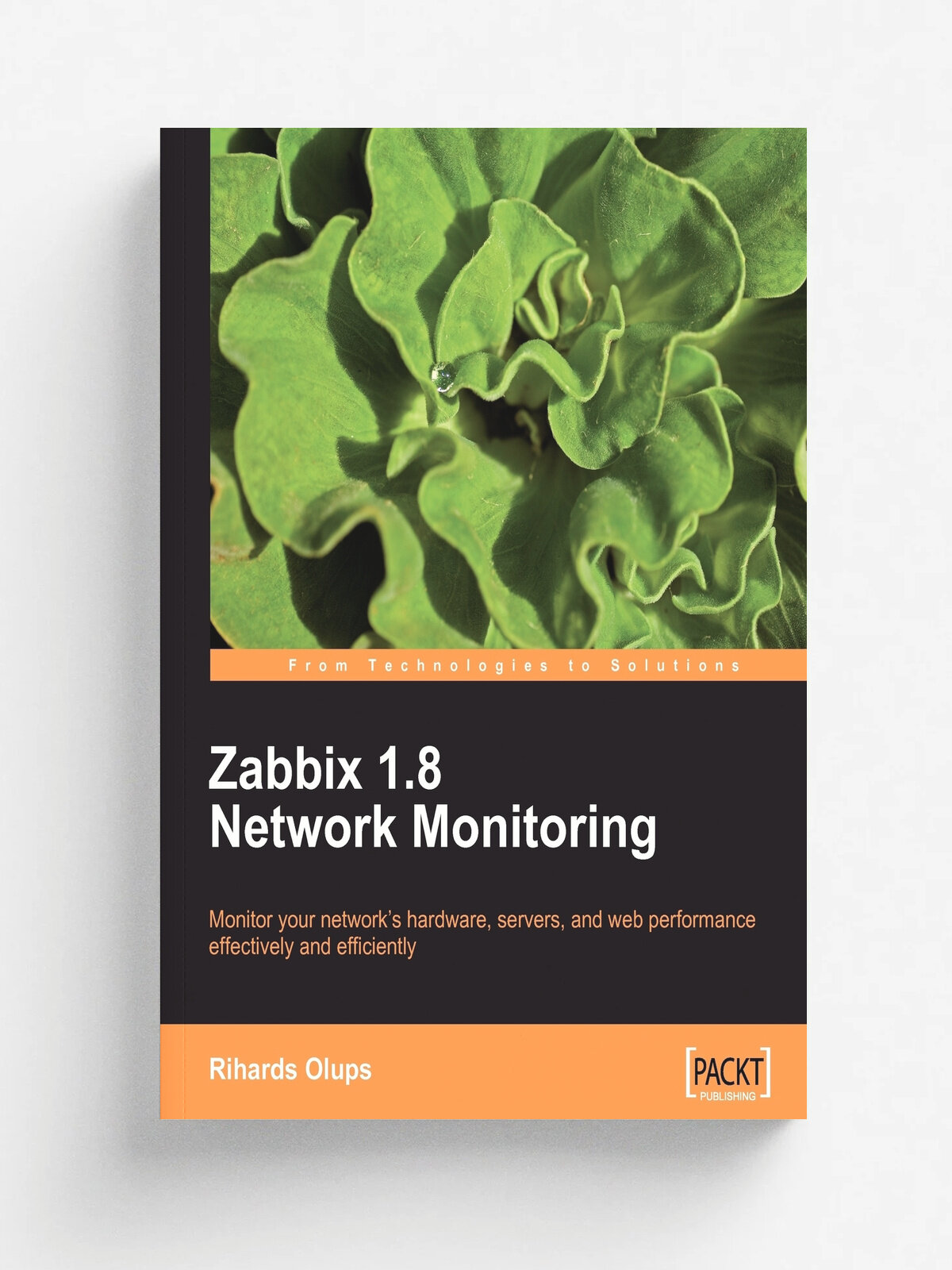 Zabbix 1.8 Network Monitoring