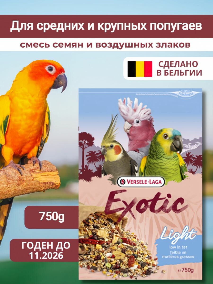 Зерновая смесь для экзотических попугаев