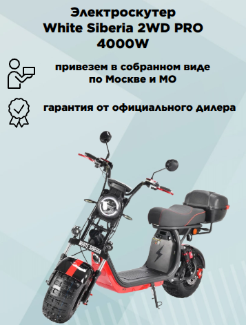 Электроскутер White Siberia WS-PRO 2WD 4000W, в сборе