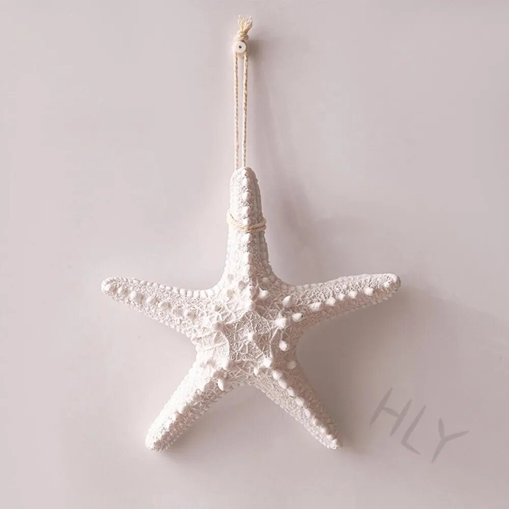 Морская звезда океанского ветра длиной 15 см висит на стене в виде морской звезды