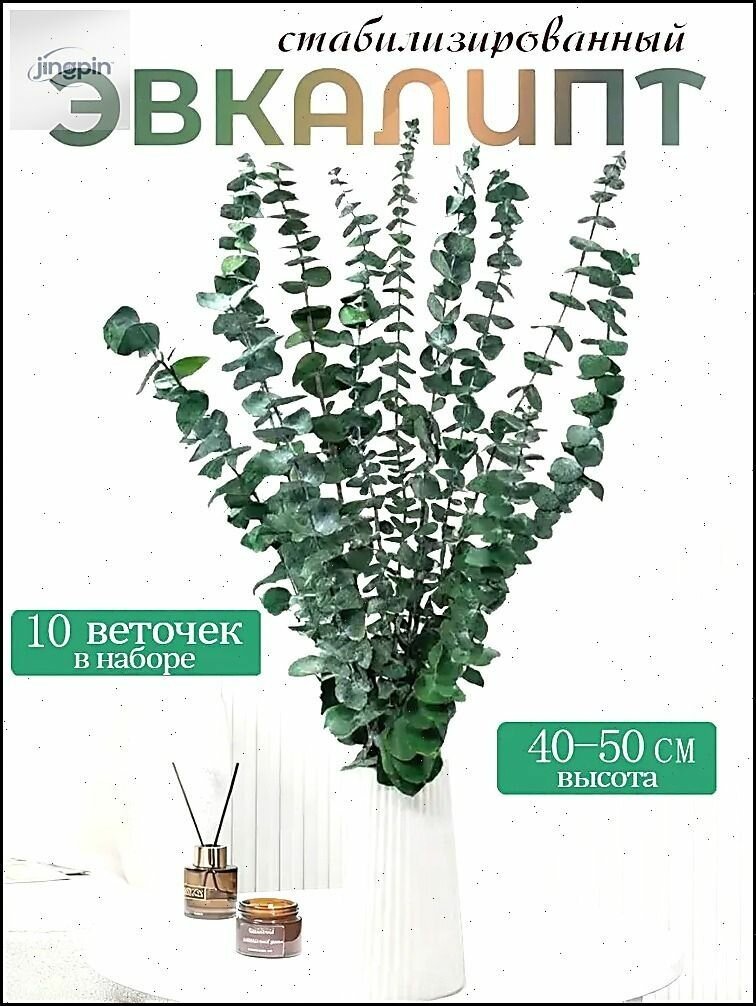 Эксклюзивные сухоцветы эвкалипта 10 штук 50 см