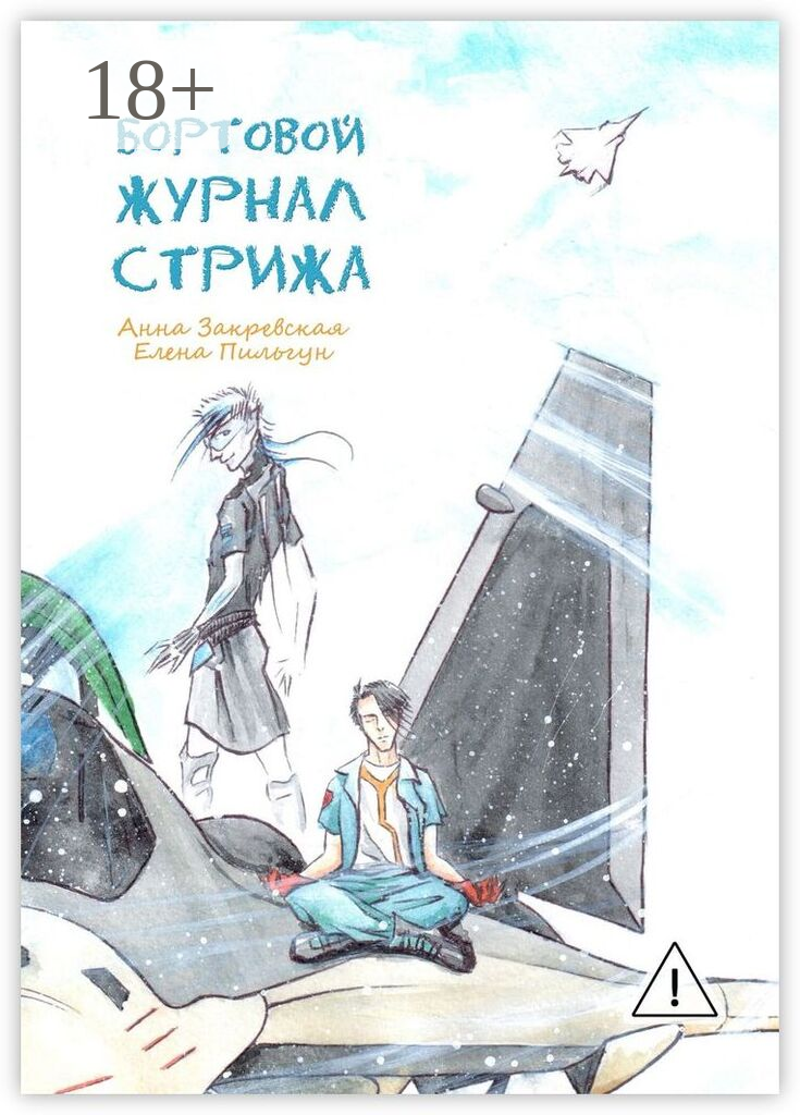 Бортовой журнал Стрижа