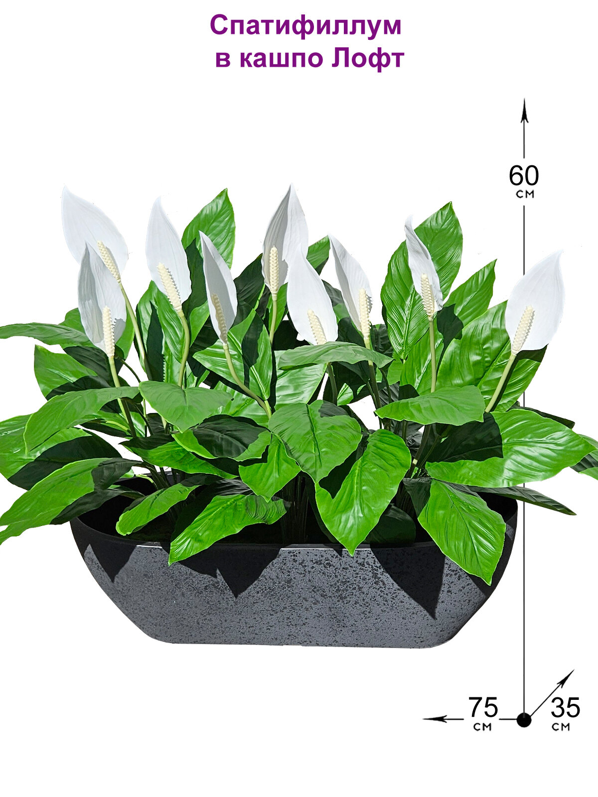 Искусственные цветы Спатифиллум в кашпо Лофт, стиль для дома лофт от ФитоПарк
