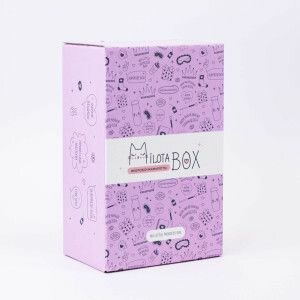 Коробочка милоты мини. Princess Box. Принцессы МBS018