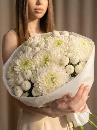 Букет из микса хризантем «Альваланш» — Букет из микса хризантем «Альваланш»