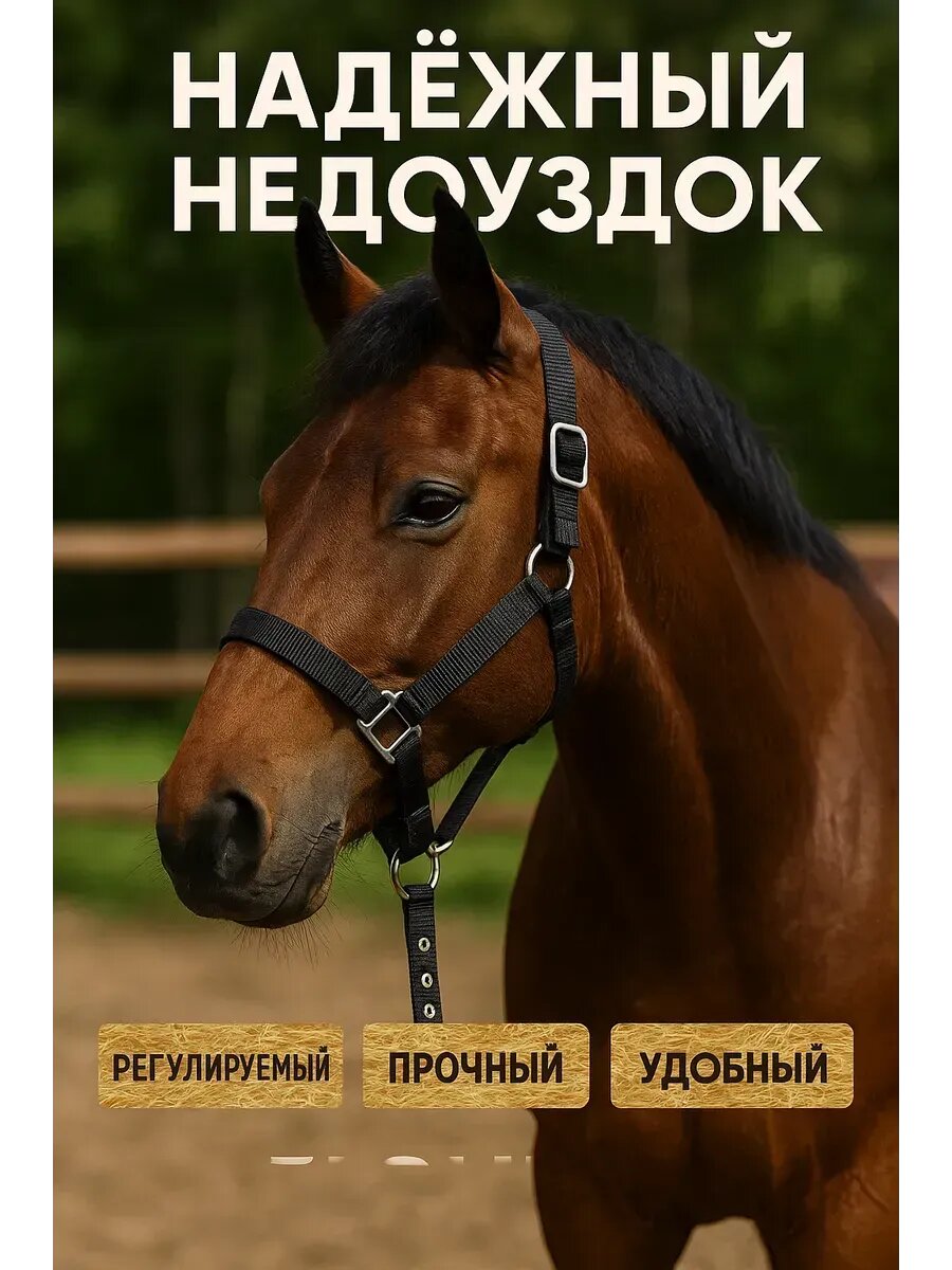 Недоуздок для лошади и пони универсальный