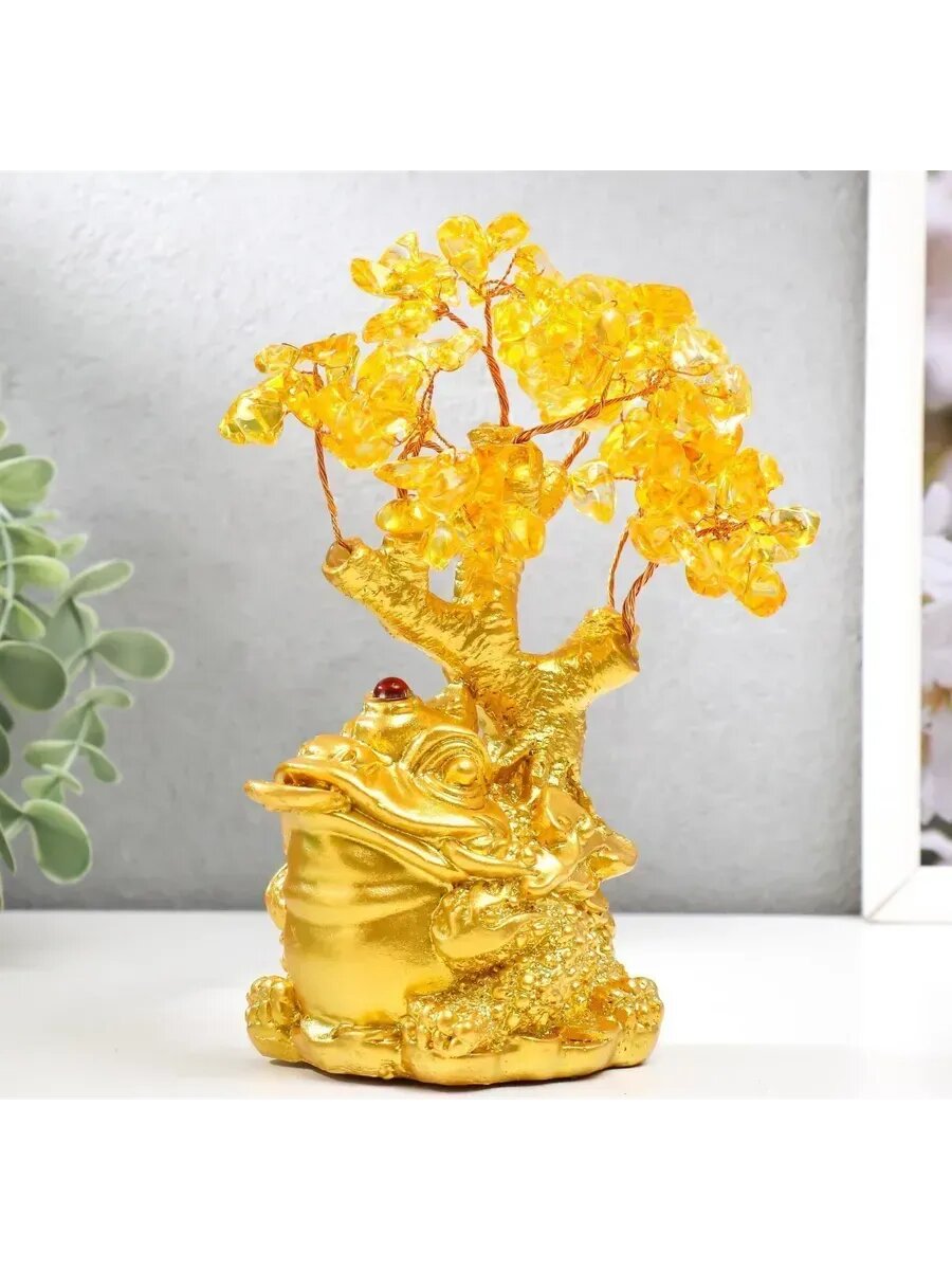 Денежное дерево с жабой