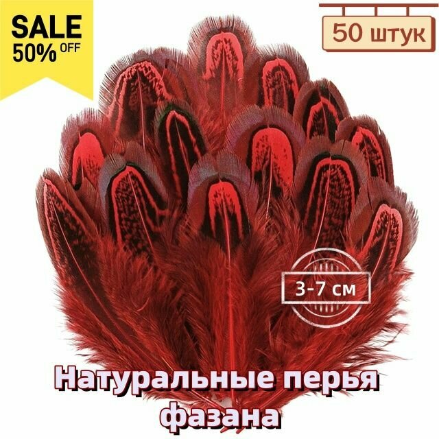 Натуральные перья фазана для рукоделия и декора, 50 шт.