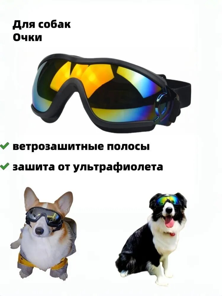 Защитные очки для собак с регулируемым ремешком - средние большие