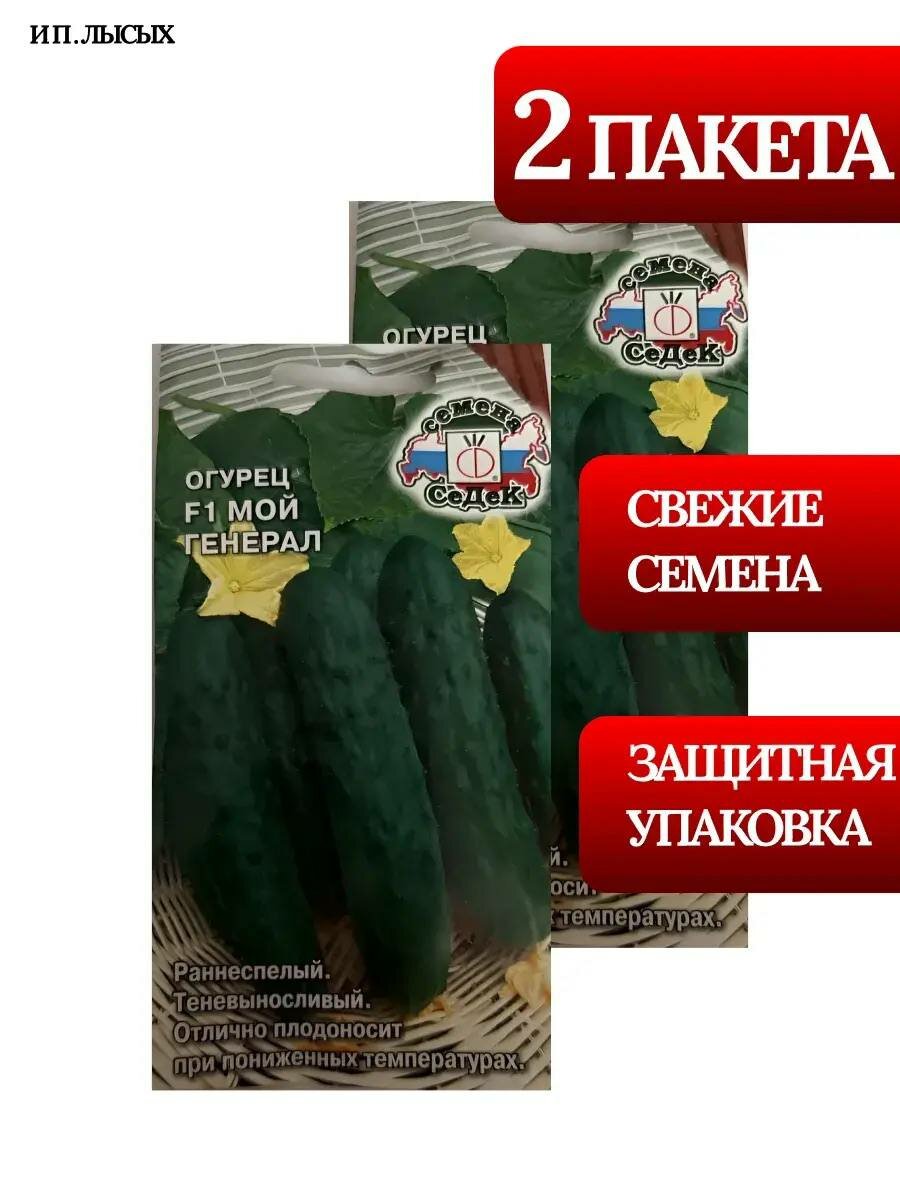 Семена Огурец "Мой Генерал"