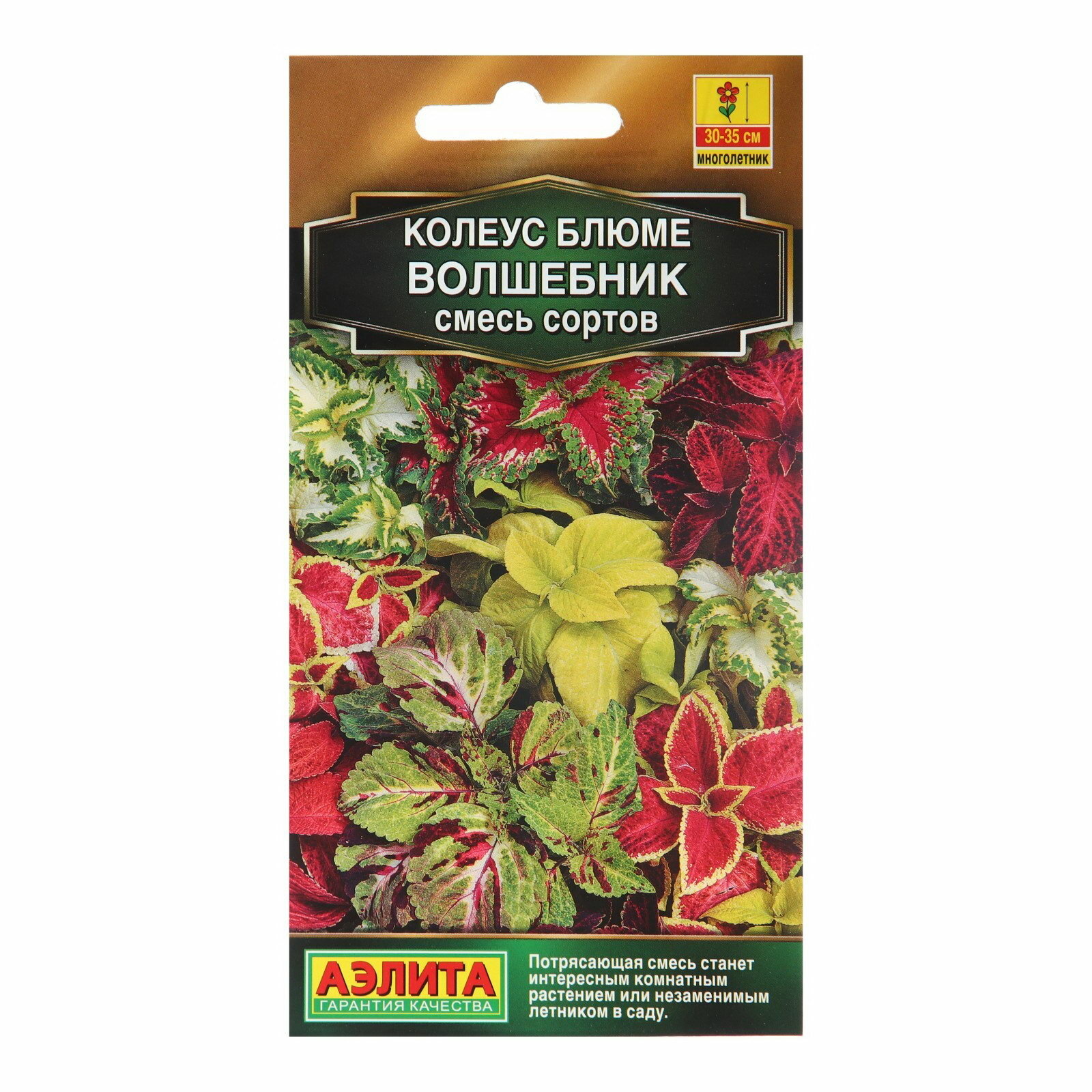 Семена Колеус "Волшебник", смесь сортов, 5 шт, назначение: для балкона, веранды