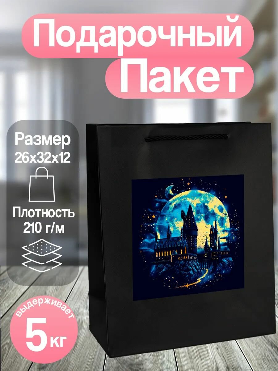 Пакет подарочный Гарри Потер