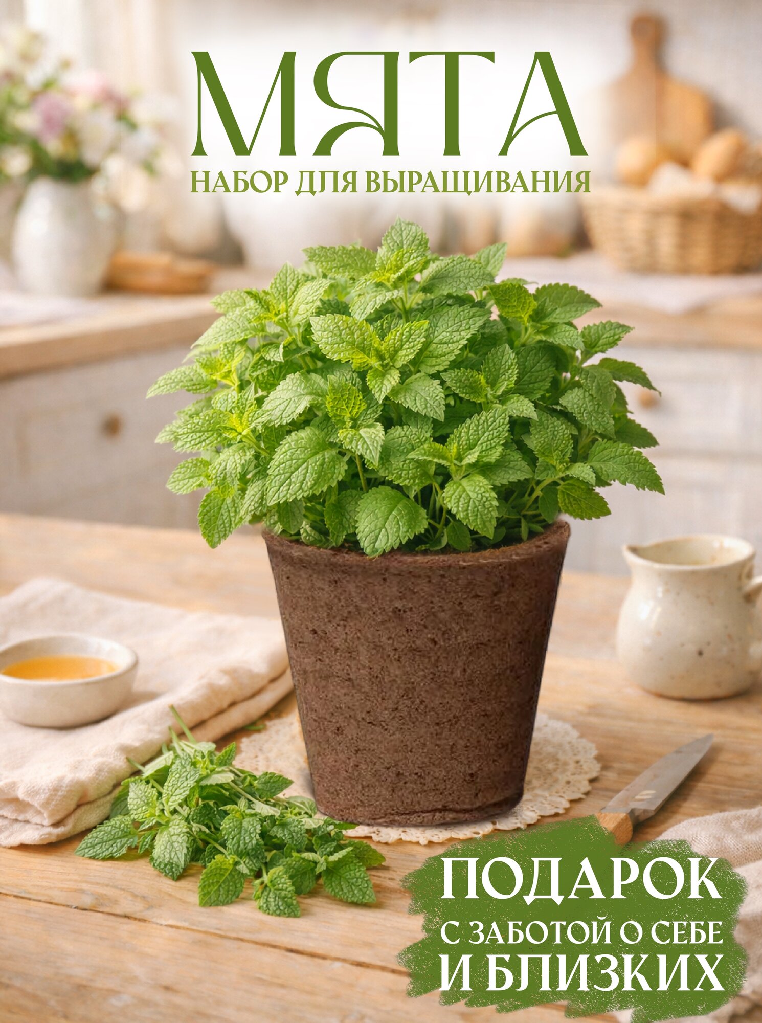 Набор для выращивания ароматных чайных трав на подоконнике Мята