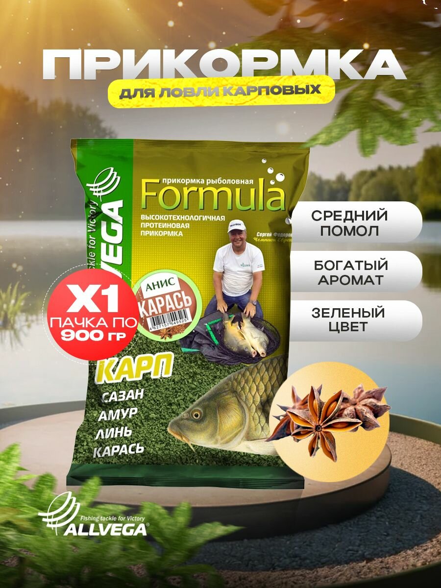 Прикормка для рыбалки ALLVEGA Formula Карась анис 1 пачка 0.9кг